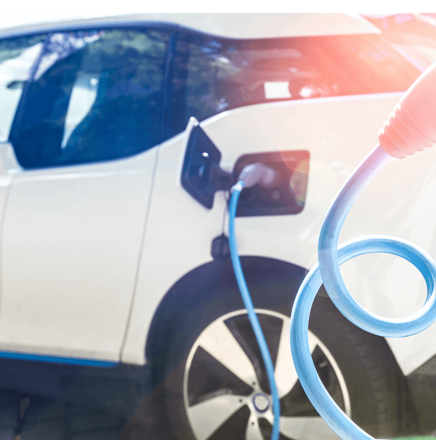 Environmental sustainability | Transport for NSW Environmental sustainability | Transport for NSW